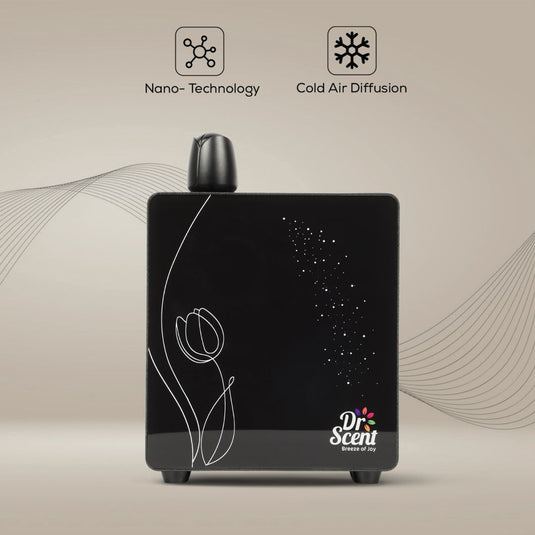 Dr Scent